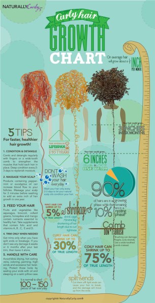 Dear ZedHair, What are your Top 5 Tips for Healthy Natural Hair? | ZedHair